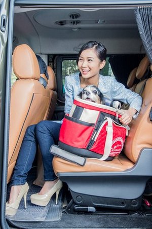 約 Model 私影 Book 車 搵 CALL4VAN 幫手最快搞掂 - DCFever.com